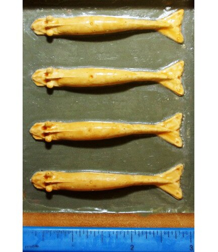 6935-41 LureCraft Silicone Open Pour Mold Shrimp Tail