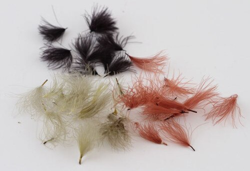F4202 CDC Puffs